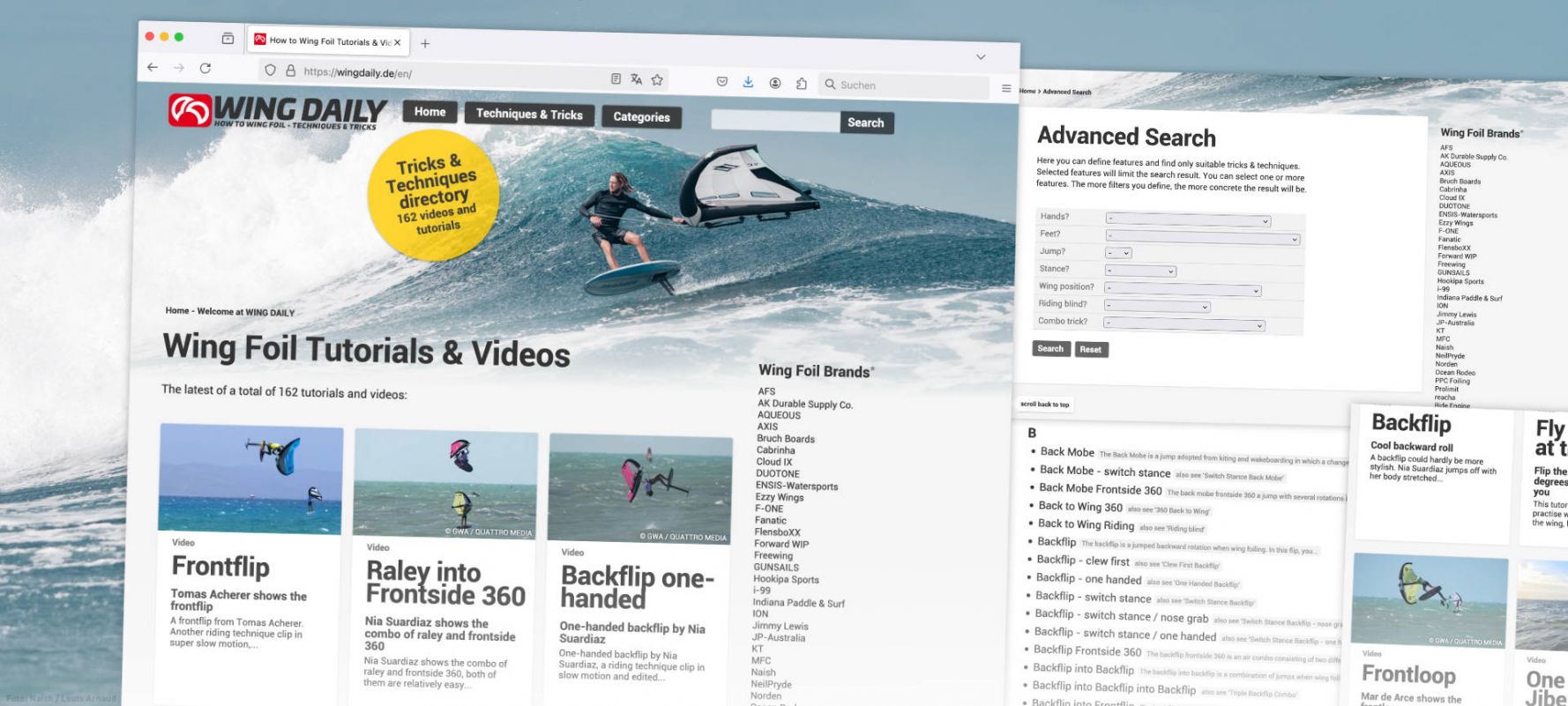 WING DAILY - Wingsport-Magazin - wingdaily.de